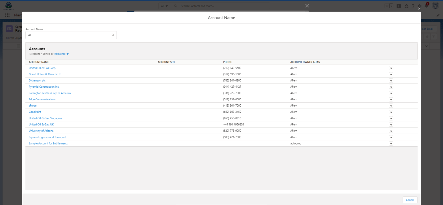 How to Display All Records in a Lookup Search in Salesforce