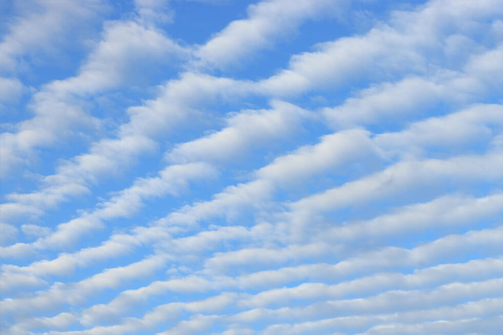 Microsoft Consulting Services